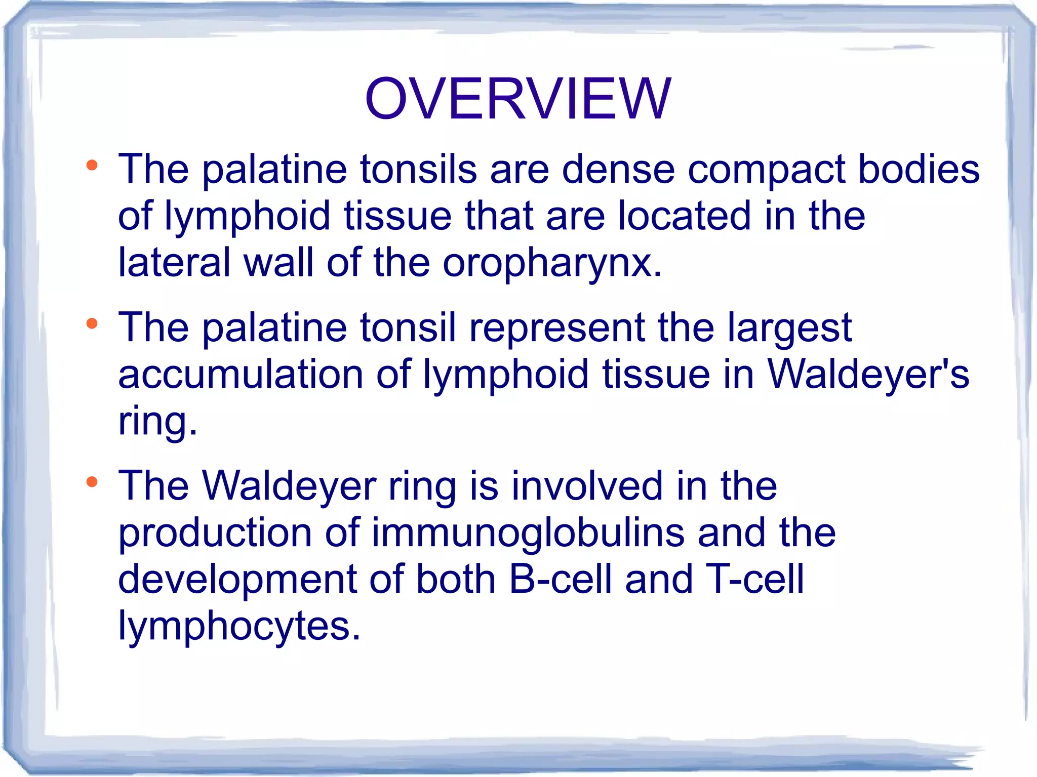 Anatomy and physiology of the palatine tonsil | PPT
