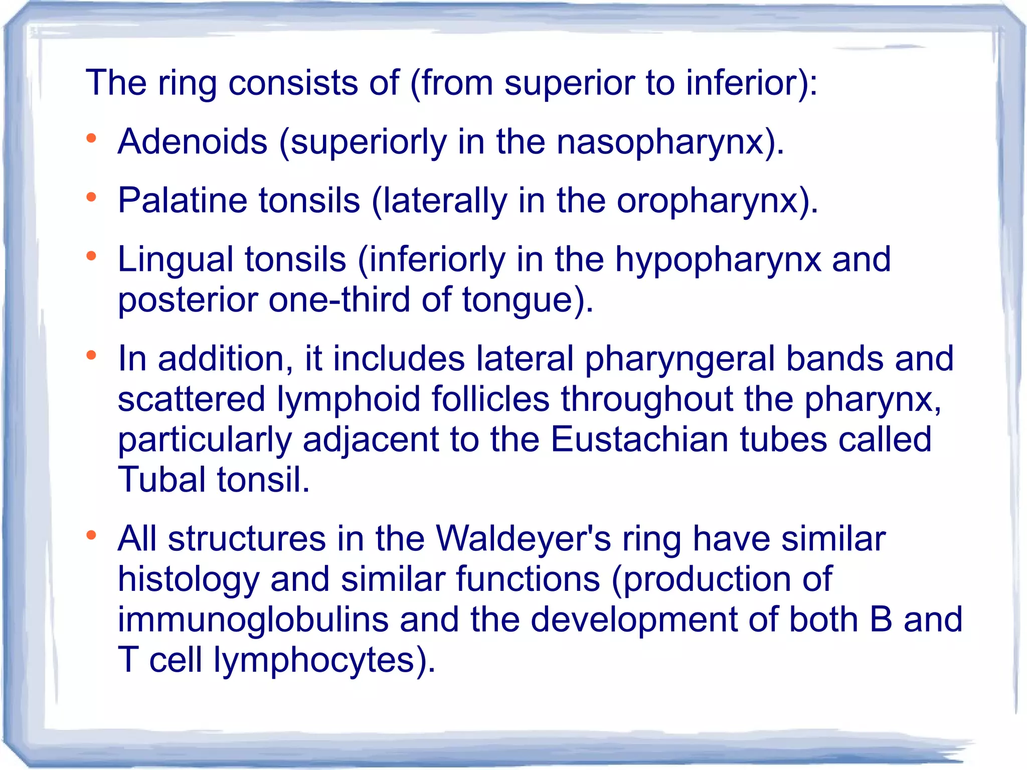 Anatomy and physiology of the palatine tonsil | PPT