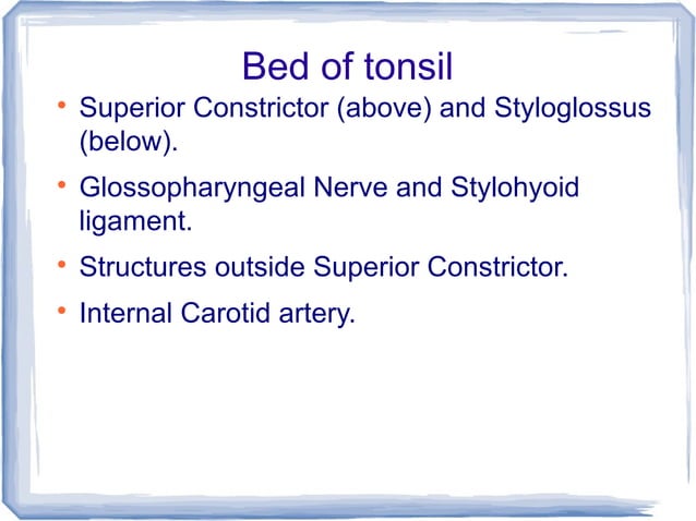 Anatomy and physiology of the palatine tonsil | PPT | Ear, Nose and ...