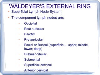 Anatomy and physiology of the palatine tonsil | PPT