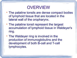 Anatomy and physiology of the palatine tonsil | PPT | Ear, Nose and ...