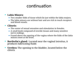 ANATOMY AND PHYSIOLOGY OF THE REPRODUCTIVE SYSTEM-2.ppt
