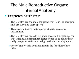 ANATOMY AND PHYSIOLOGY OF THE REPRODUCTIVE SYSTEM-2.ppt
