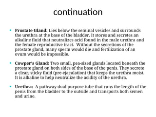 ANATOMY AND PHYSIOLOGY OF THE REPRODUCTIVE SYSTEM-2.ppt