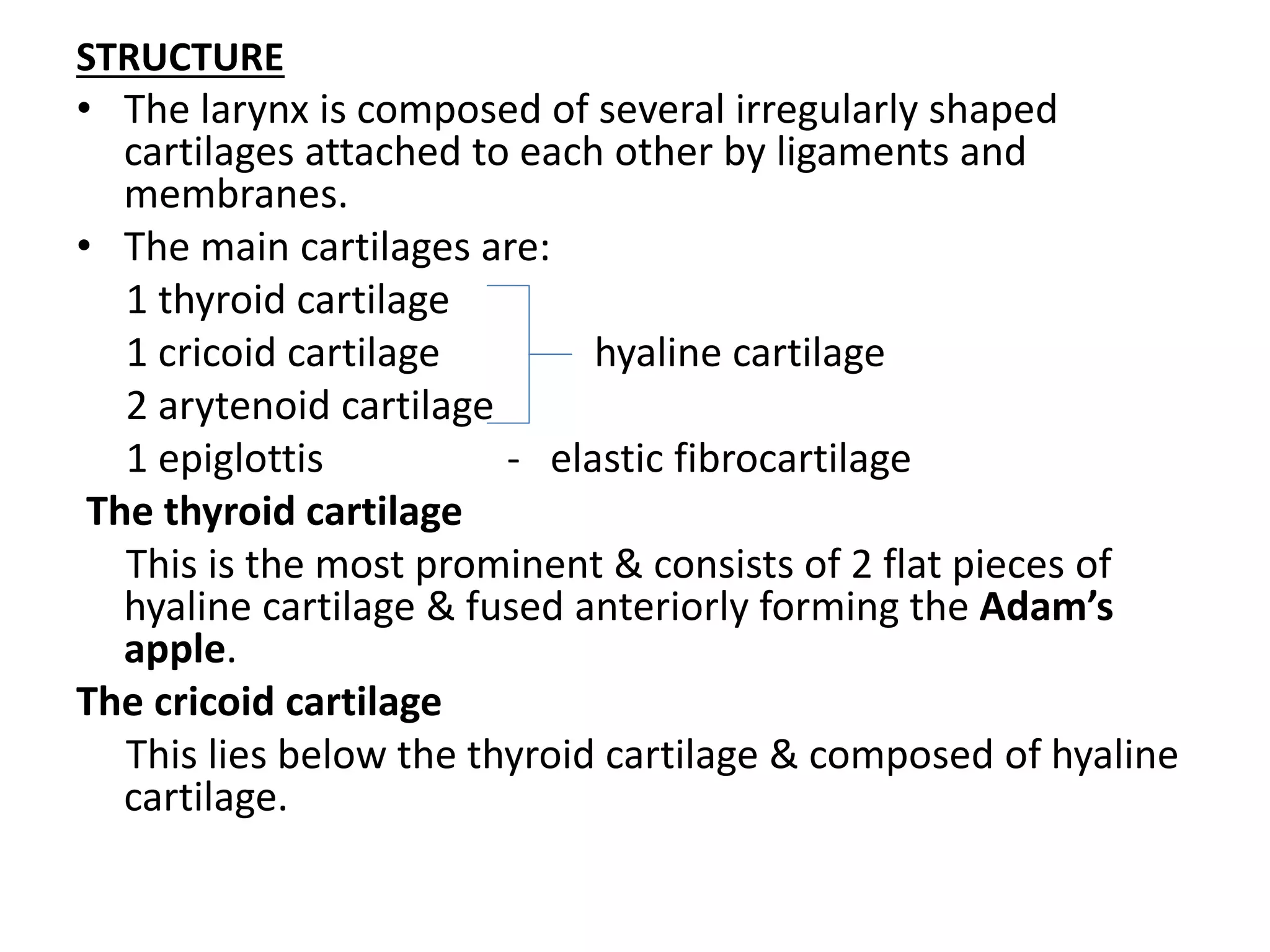 Anatomy and physiology of the respiratory system | PPTX