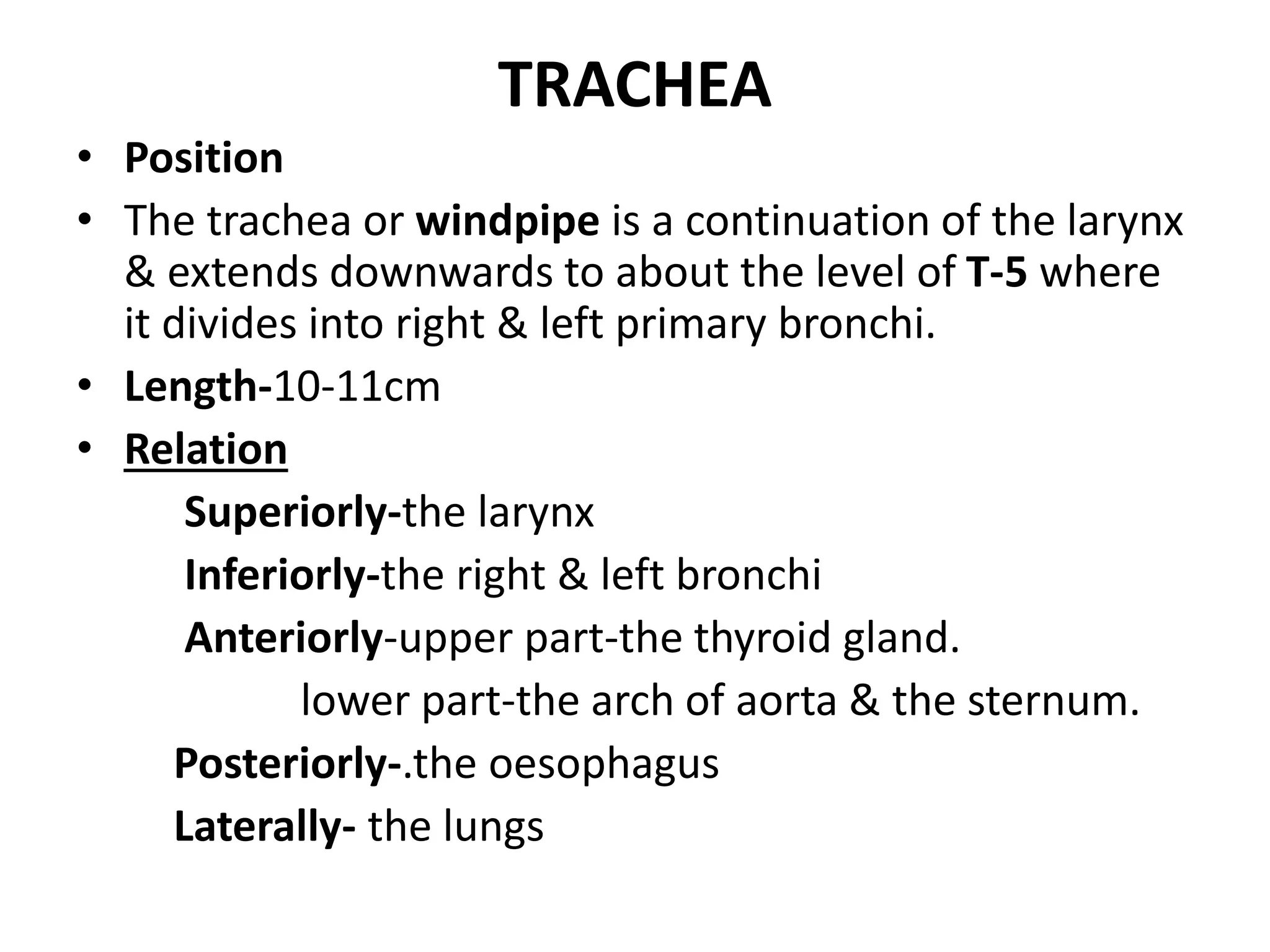 Anatomy and physiology of the respiratory system | PPTX