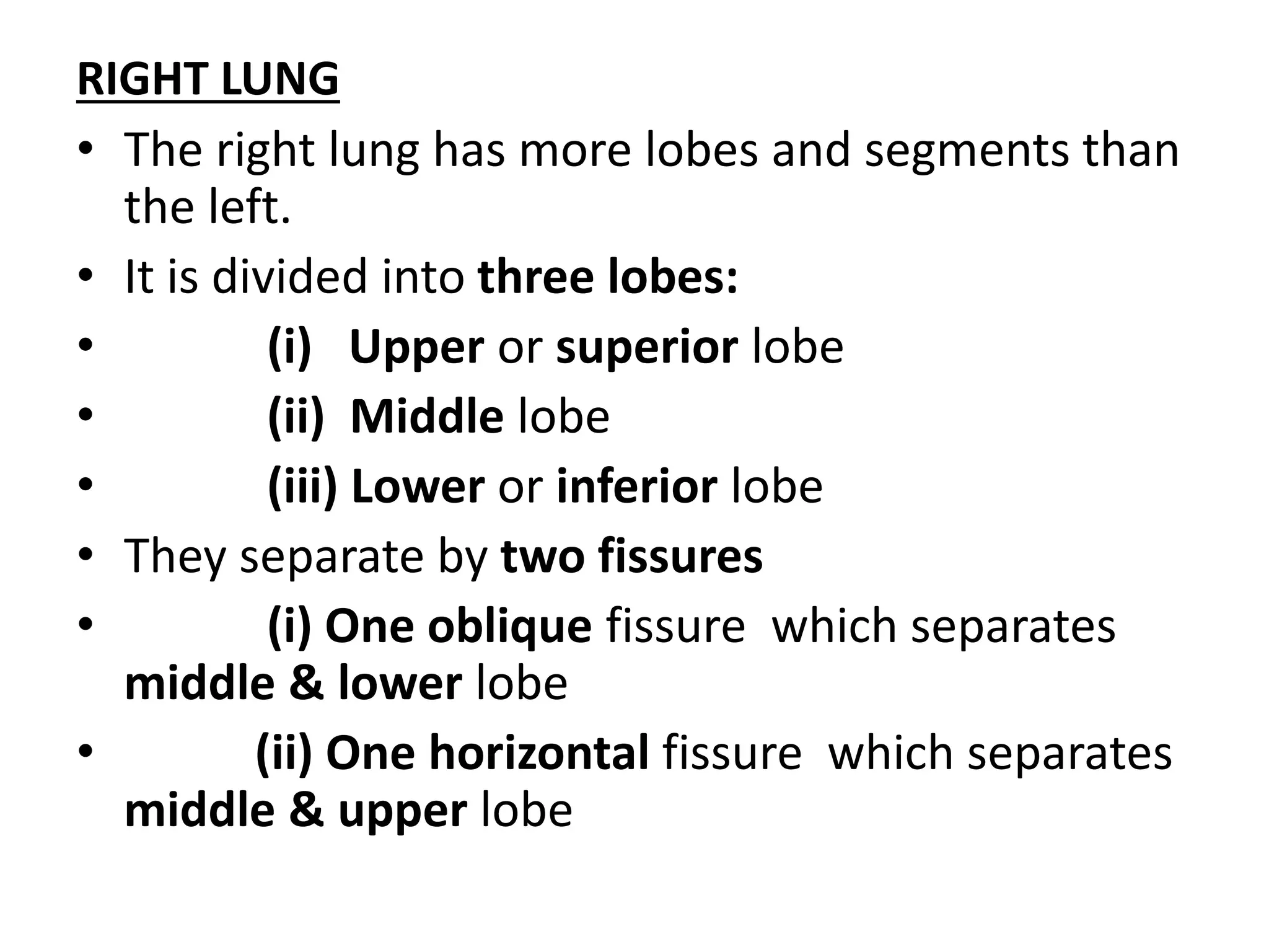 Anatomy and physiology of the respiratory system | PPTX
