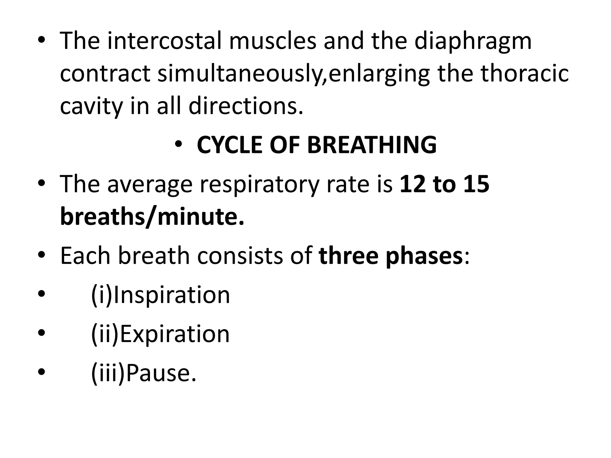 Anatomy and physiology of the respiratory system | PPTX