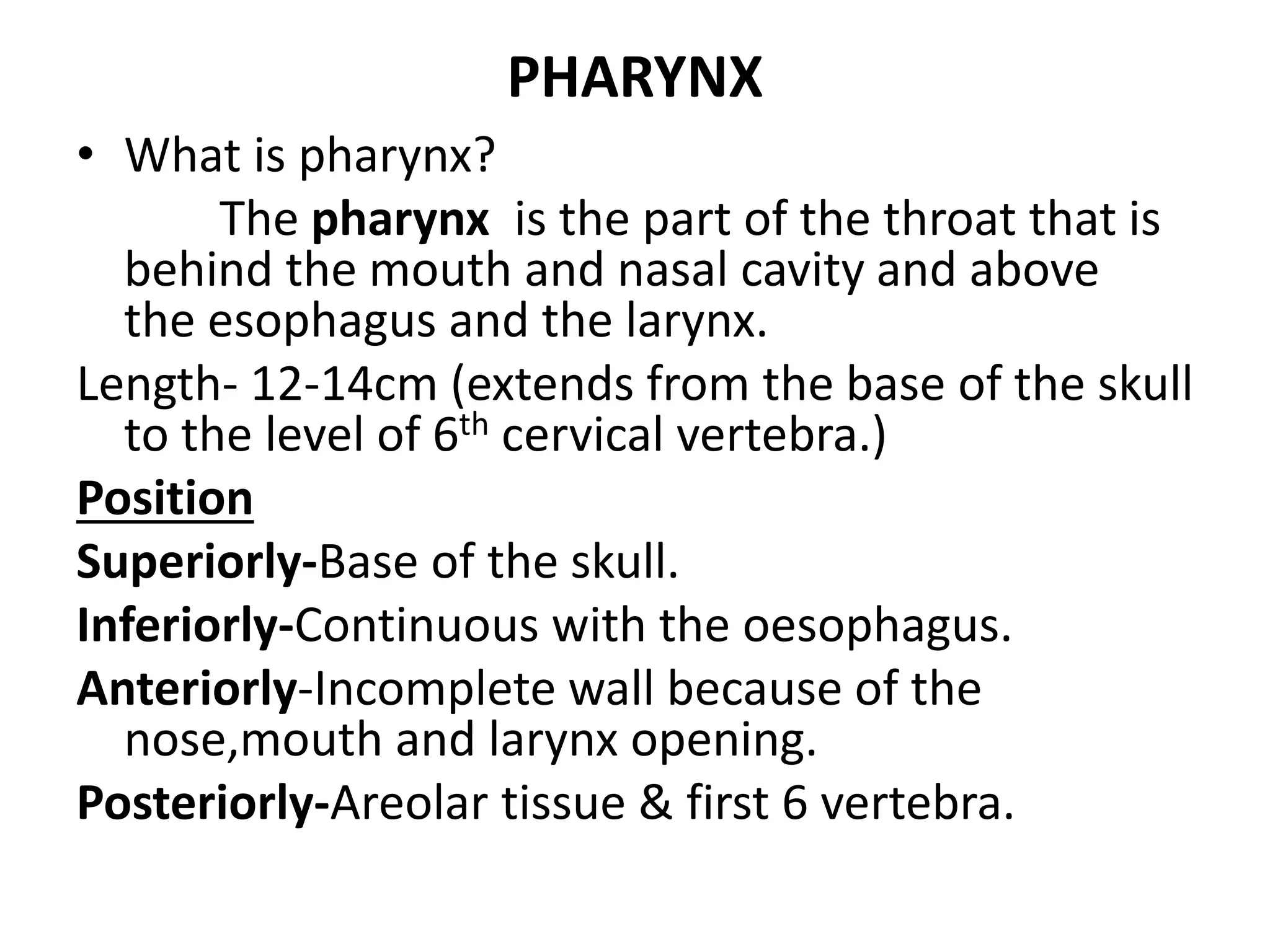 Anatomy and physiology of the respiratory system | PPTX