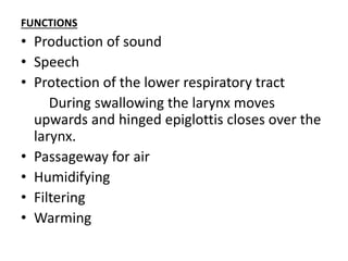 Anatomy and physiology of the respiratory system | PPTX