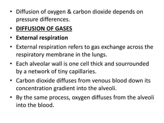 Anatomy and physiology of the respiratory system | PPTX