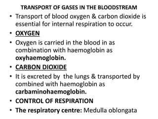 Anatomy and physiology of the respiratory system | PPTX