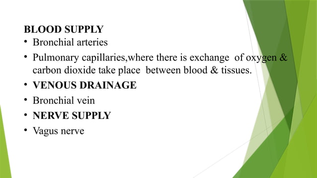 Anatomy and physiology of the respiratory system.pptx