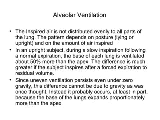Anatomy and physiology of the respiratory system | PPT