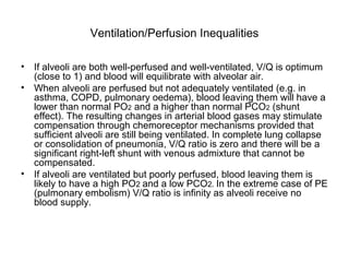 Anatomy and physiology of the respiratory system | PPT