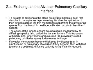 Anatomy and physiology of the respiratory system | PPT