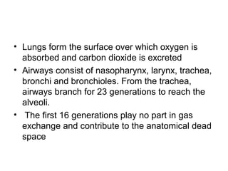 Anatomy and physiology of the respiratory system | PPT
