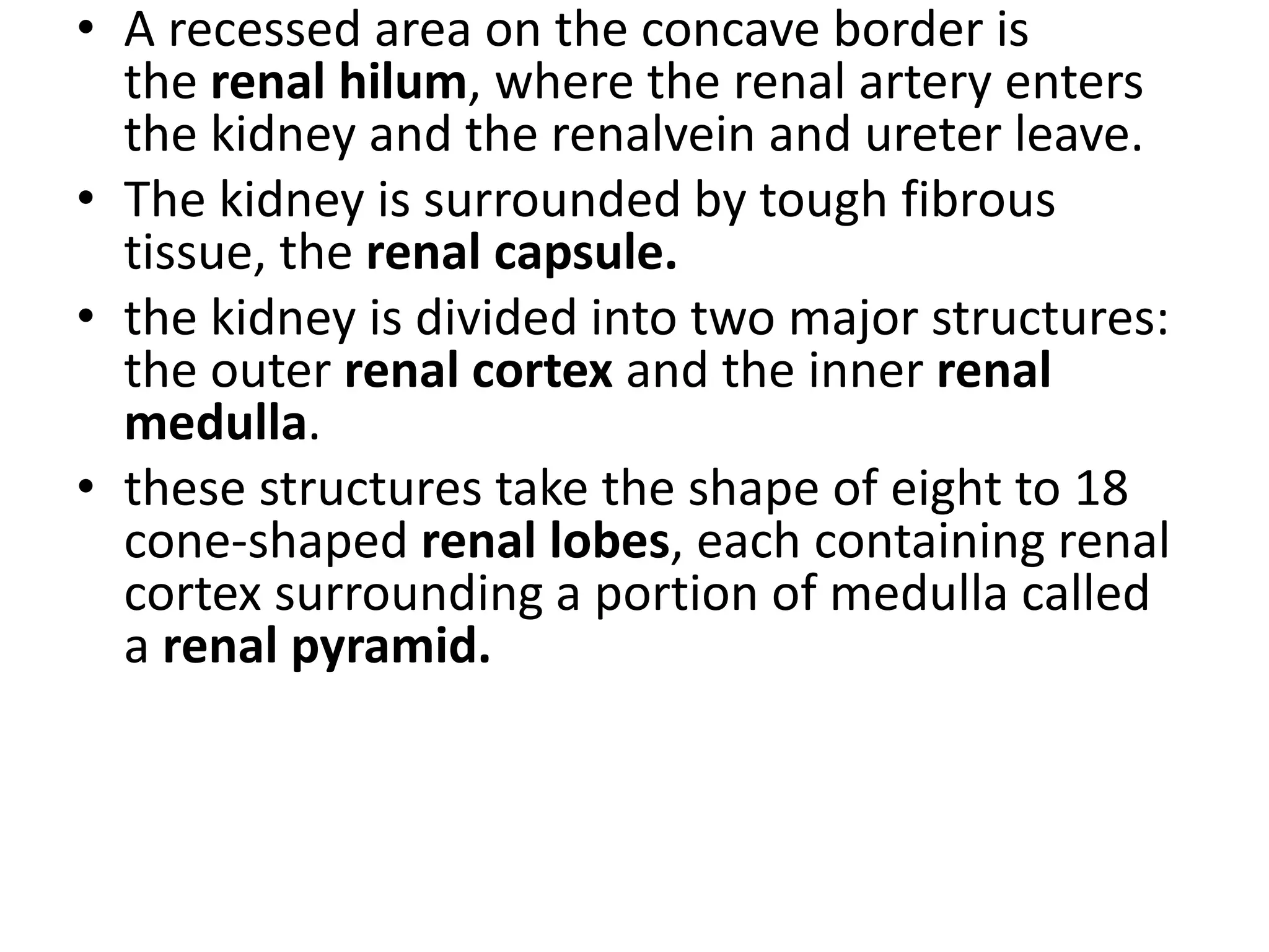 Anatomy and physiology of the Urinary system by Dipali Harkhani | PPTX