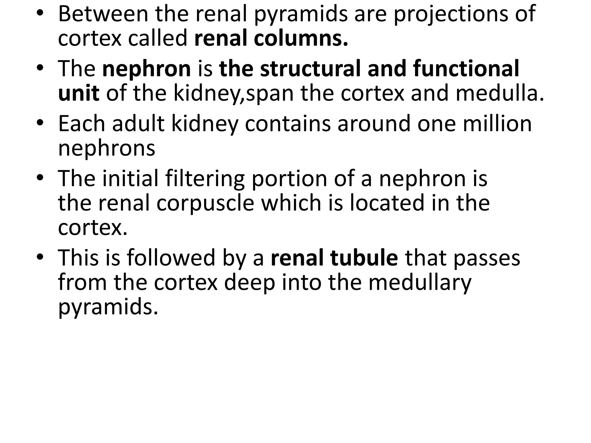 Anatomy and physiology of the Urinary system by Dipali Harkhani | PPTX