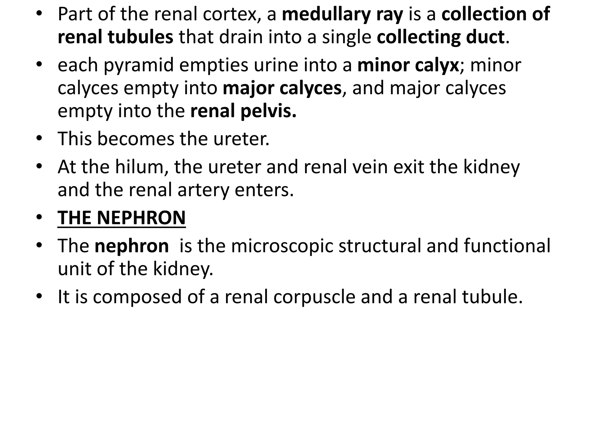 Anatomy and physiology of the Urinary system by Dipali Harkhani | PPTX