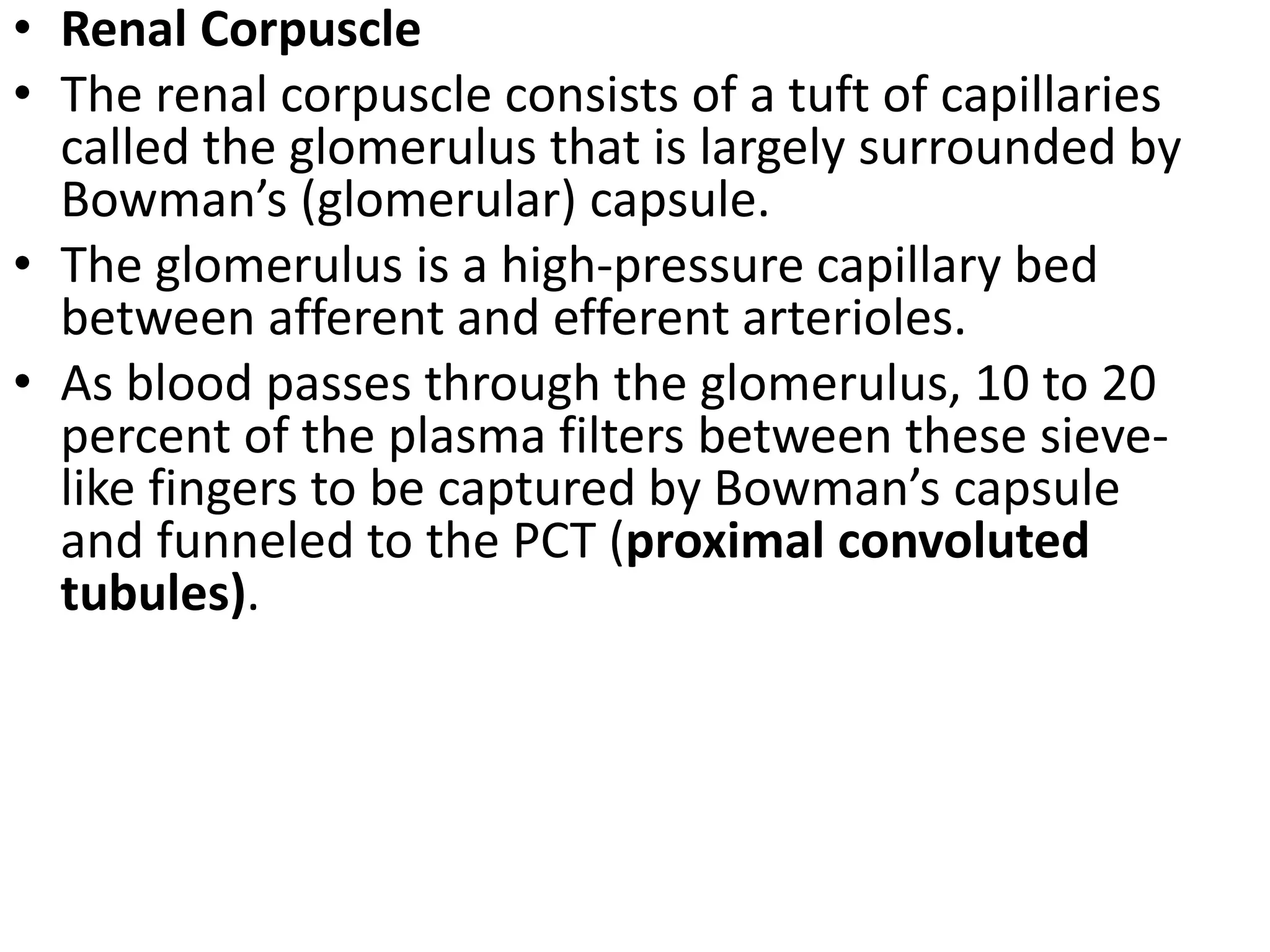 Anatomy and physiology of the Urinary system by Dipali Harkhani | PPTX