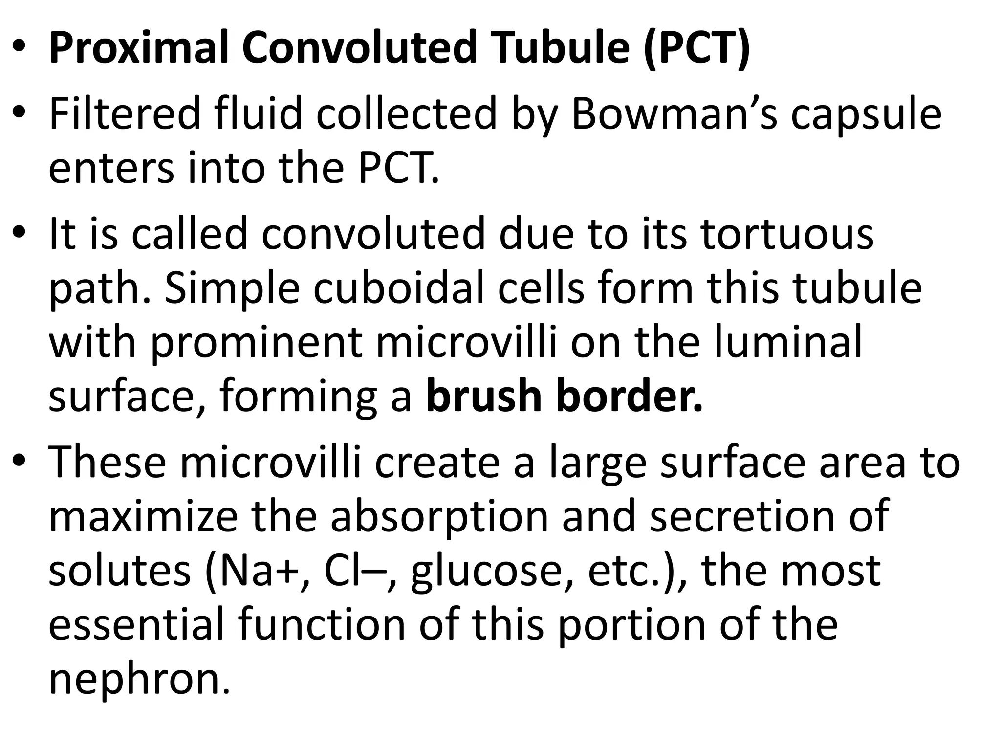 Anatomy and physiology of the Urinary system by Dipali Harkhani | PPTX
