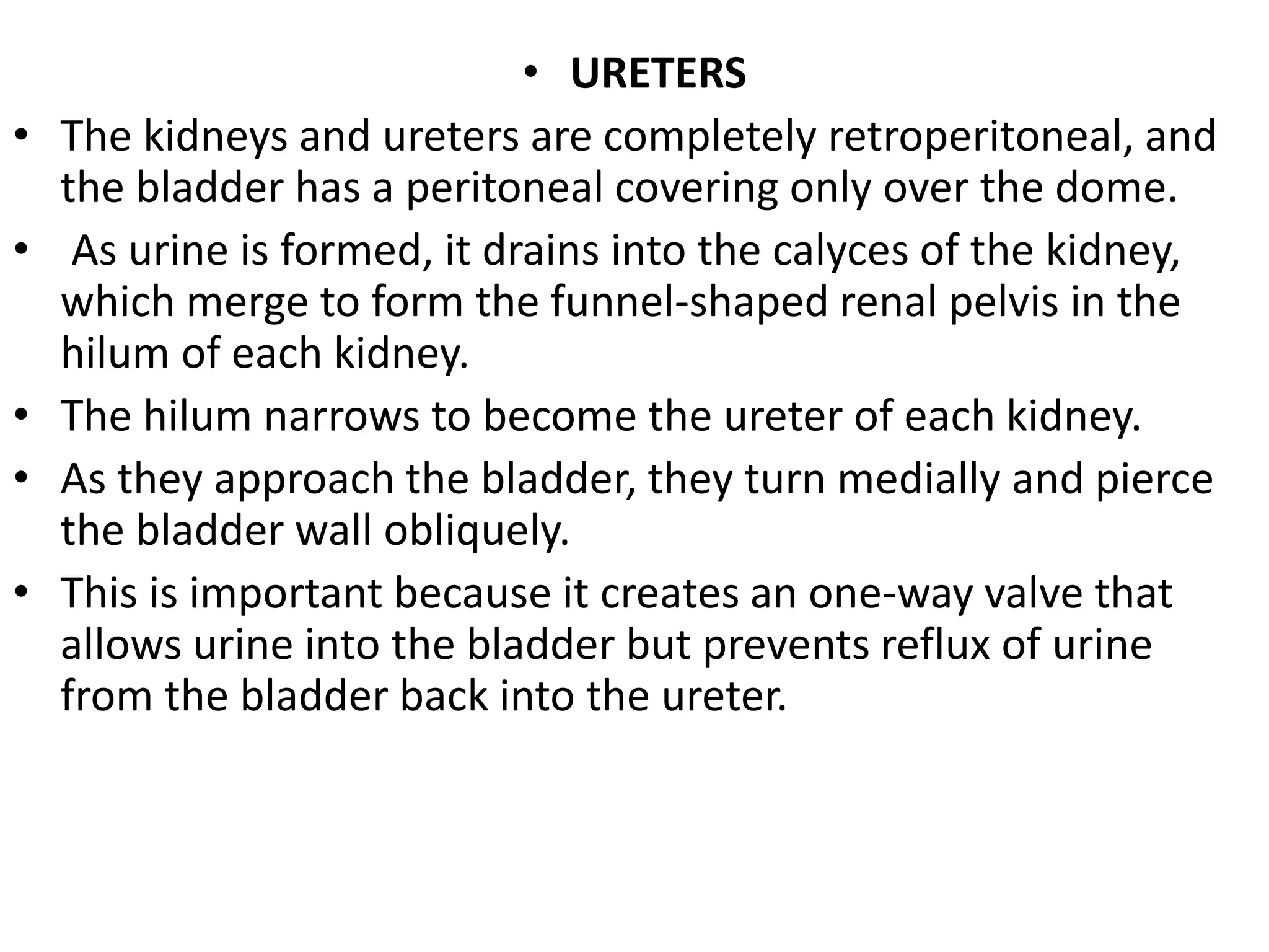 Anatomy and physiology of the Urinary system by Dipali Harkhani | PPTX