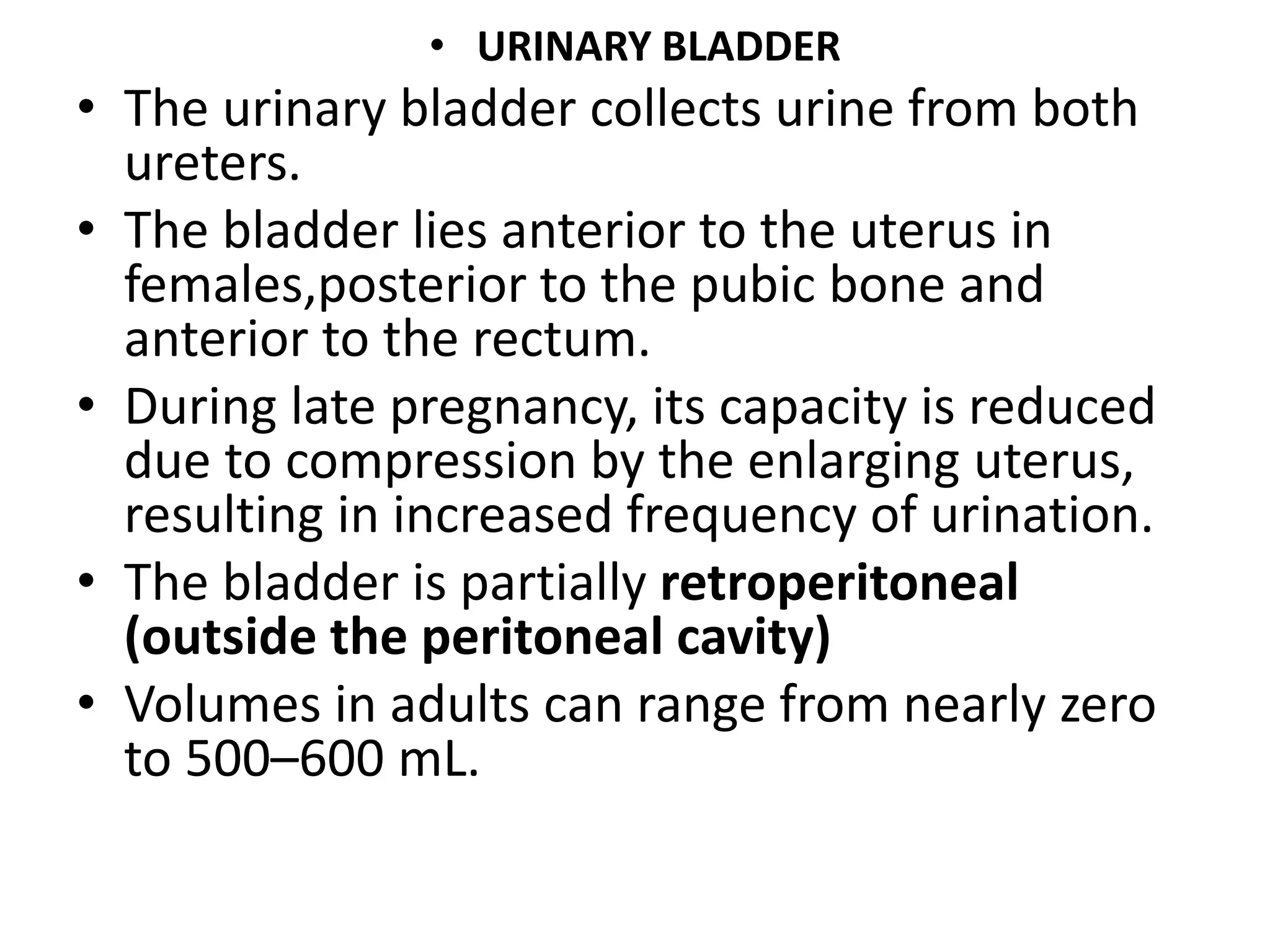 Anatomy and physiology of the Urinary system by Dipali Harkhani | PPTX