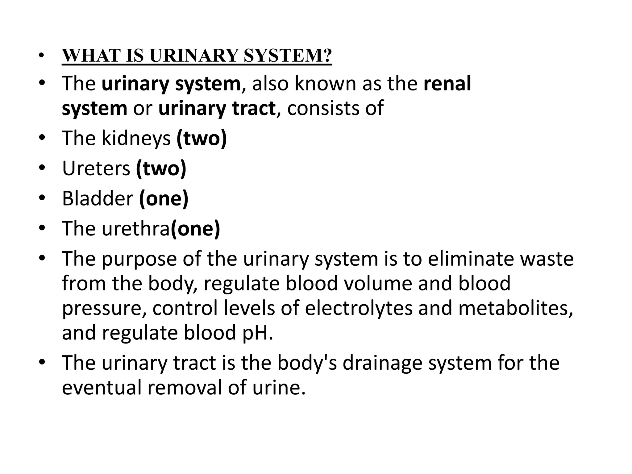 Anatomy and physiology of the Urinary system by Dipali Harkhani | PPTX