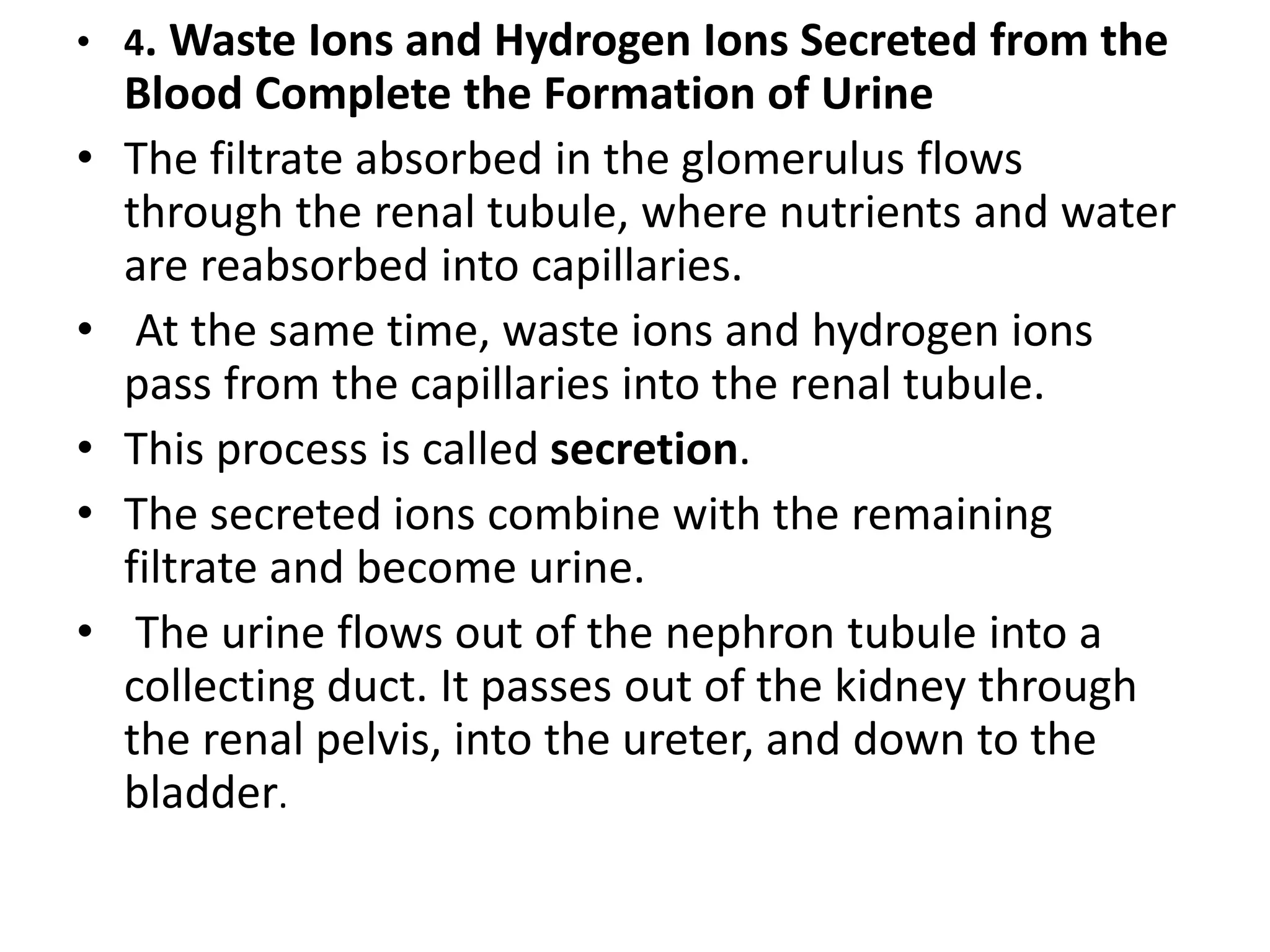 Anatomy and physiology of the Urinary system by Dipali Harkhani | PPTX