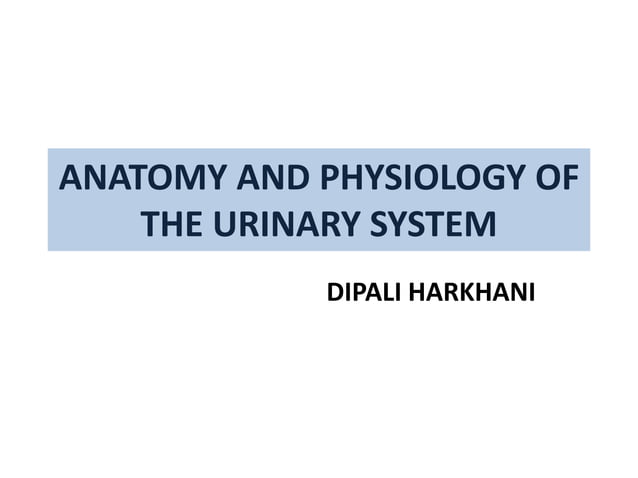 Anatomy and physiology of the Urinary system by Dipali Harkhani | PPTX | Medical Health