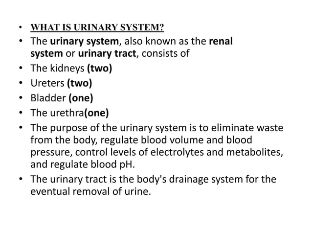 Anatomy and physiology of the Urinary system by Dipali Harkhani | PPTX ...
