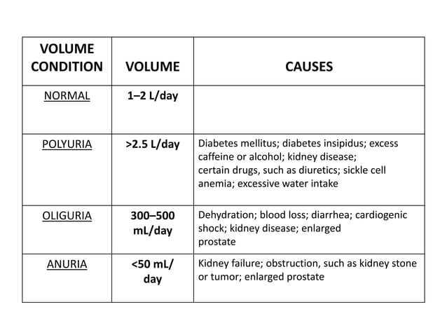 Anatomy and physiology of the Urinary system by Dipali Harkhani | PPTX ...