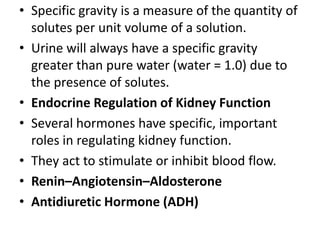 Anatomy and physiology of the Urinary system by Dipali Harkhani | PPTX