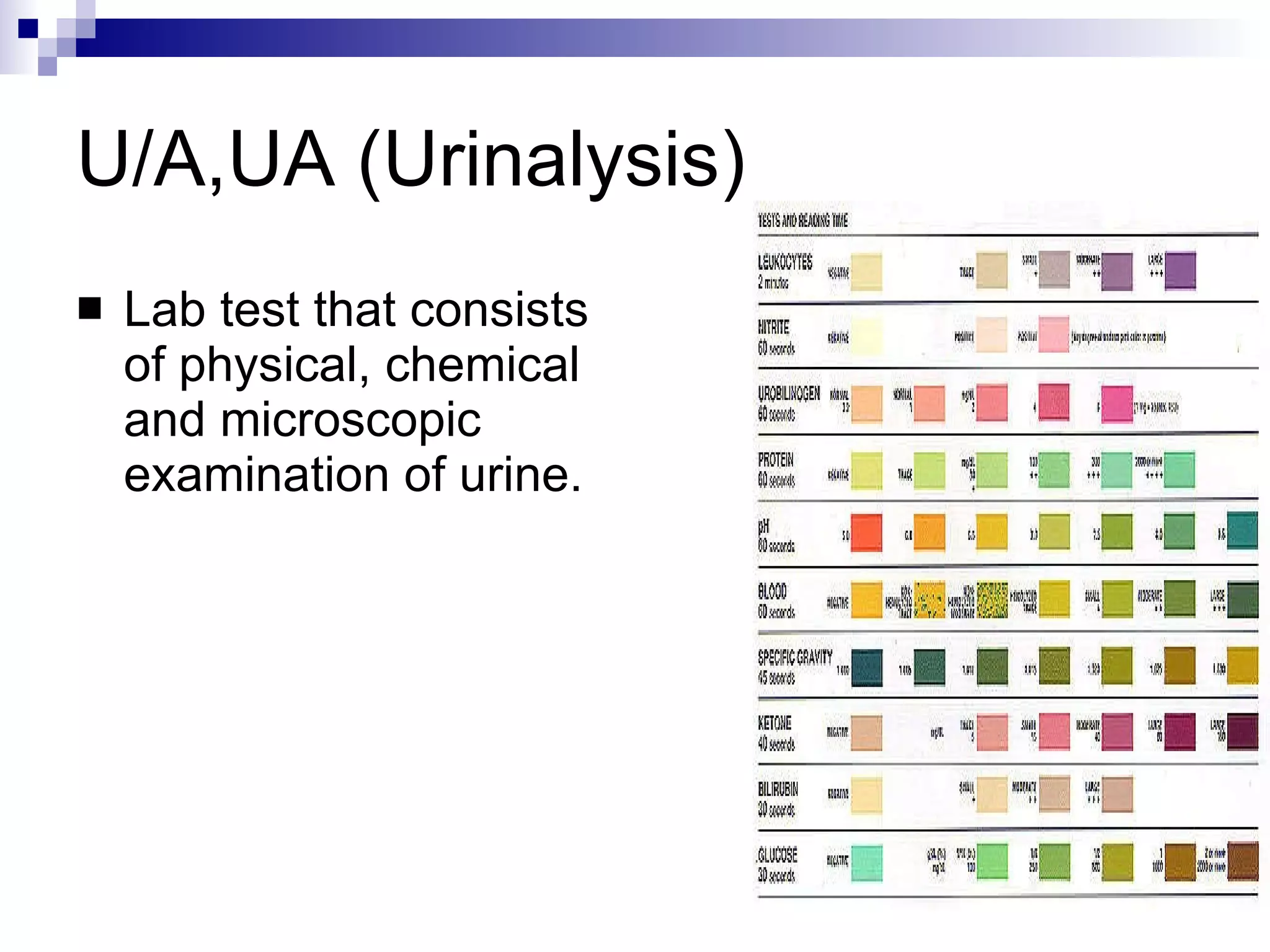 Anatomy and physiology of the urinary system.9 | PPT