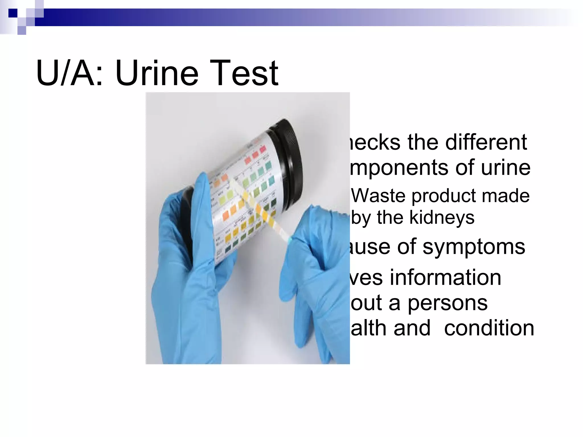 Anatomy and physiology of the urinary system.9 | PPT