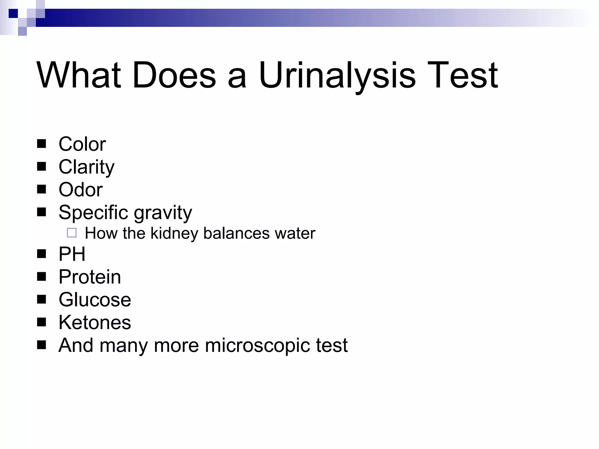 Anatomy and physiology of the urinary system.9 | PPT