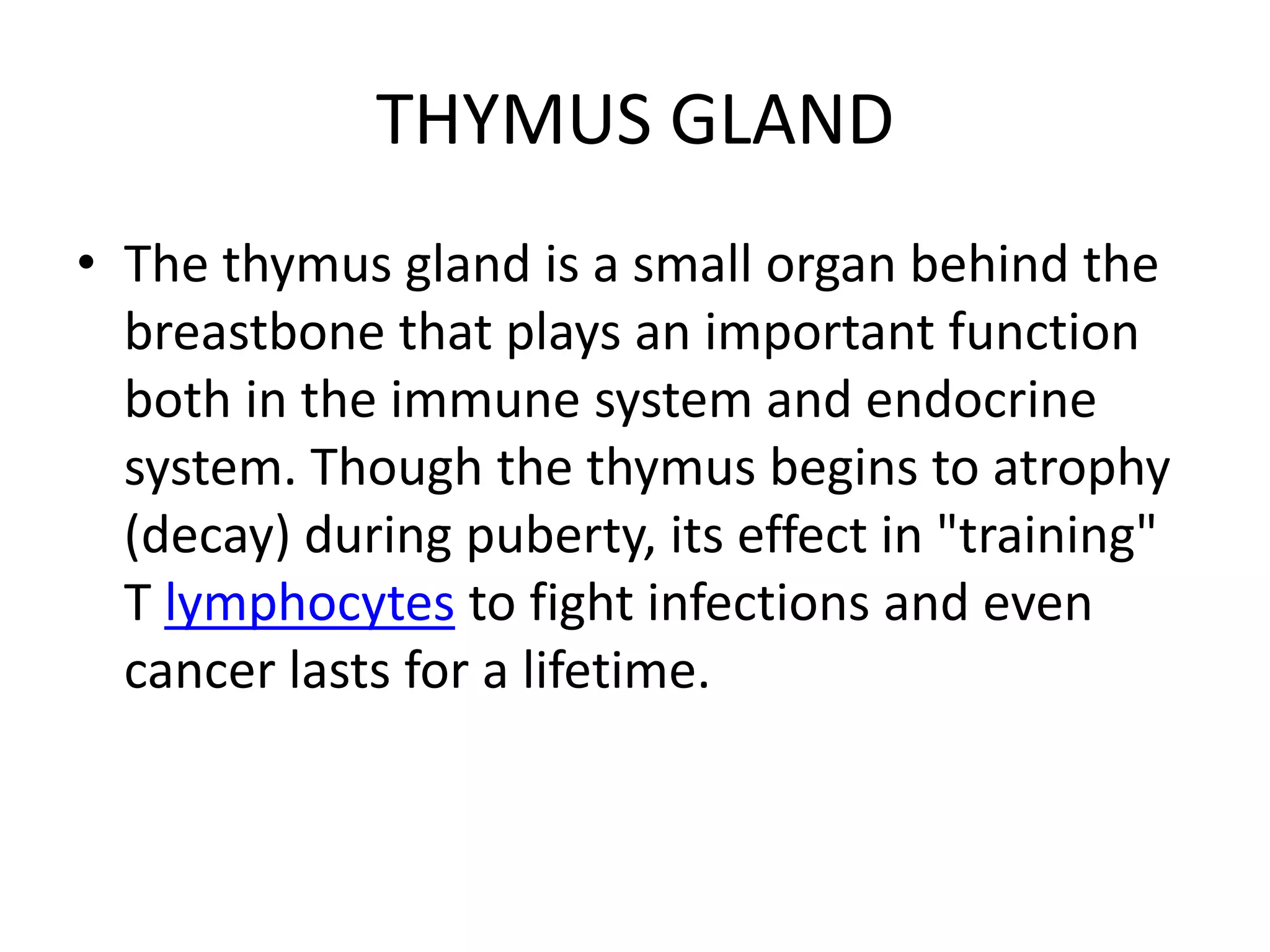 Anatomy and physiology of thymus gland | PPTX