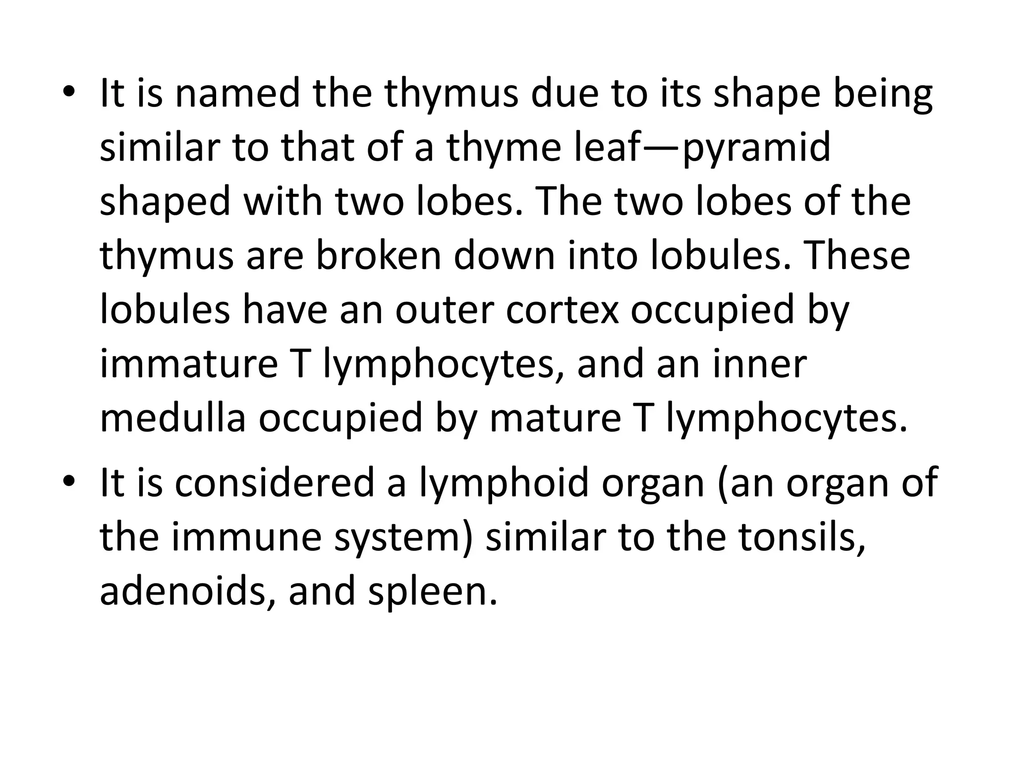 Anatomy and physiology of thymus gland | PPTX