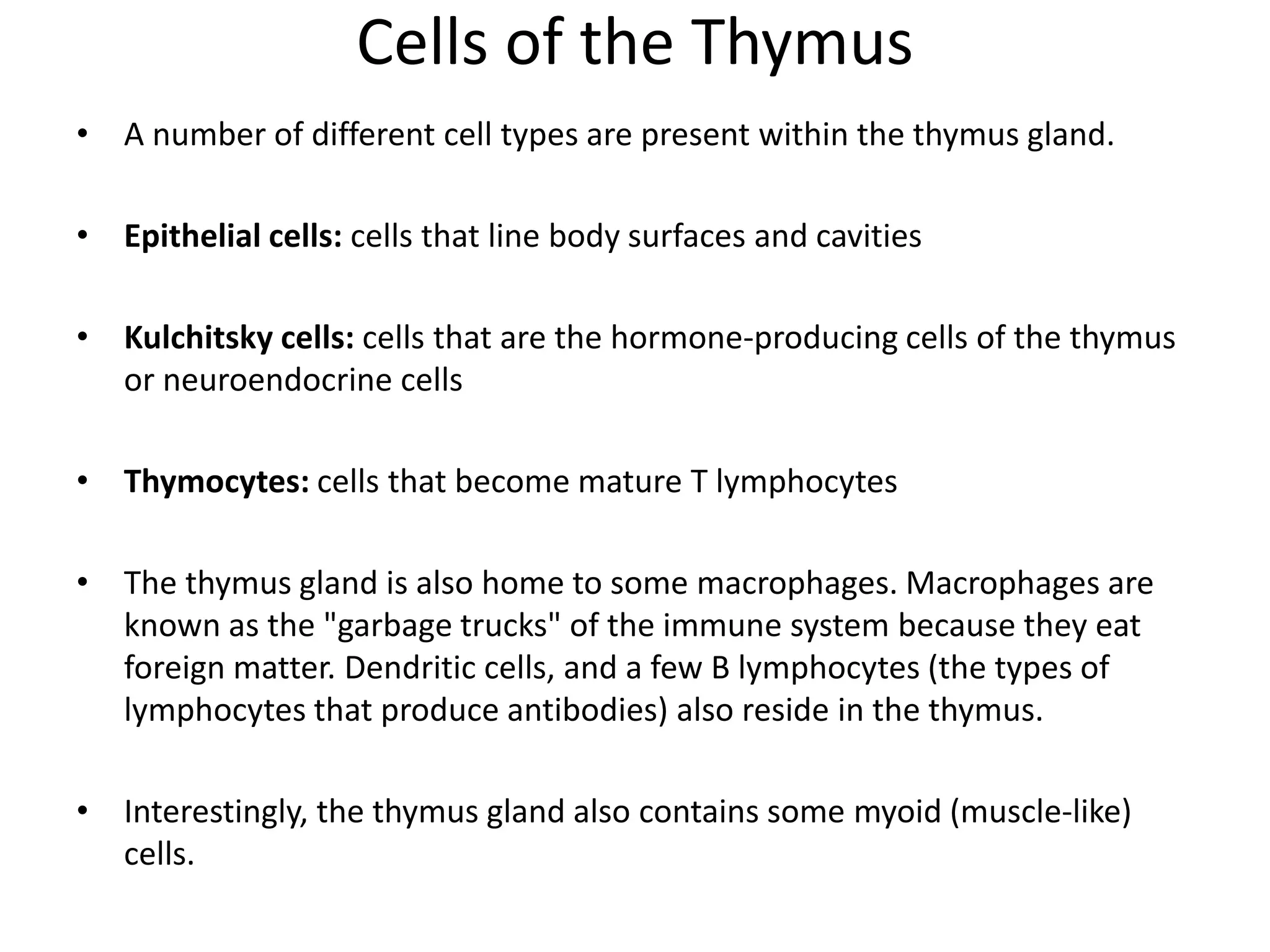Anatomy and physiology of thymus gland | PPTX