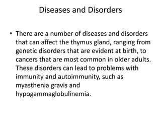 Anatomy and physiology of thymus gland | PPTX