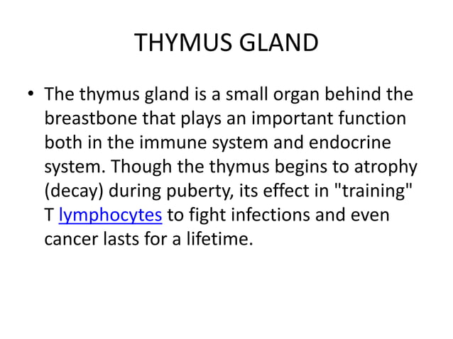 Anatomy and physiology of thymus gland | PPTX
