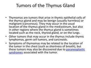 Anatomy and physiology of thymus gland | PPTX