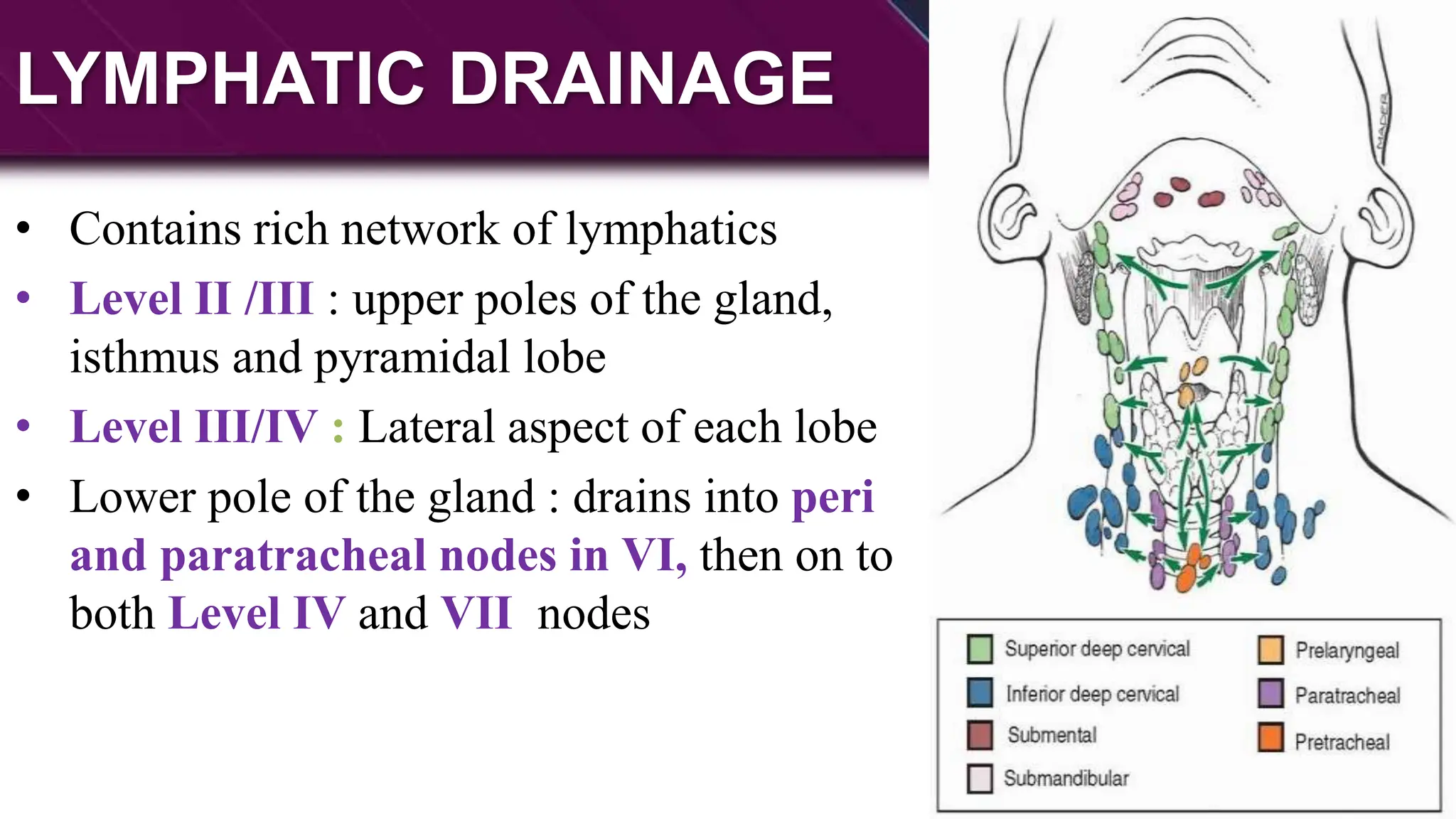 Anatomy and physiology of thyroid and parathyroid glands.pptx