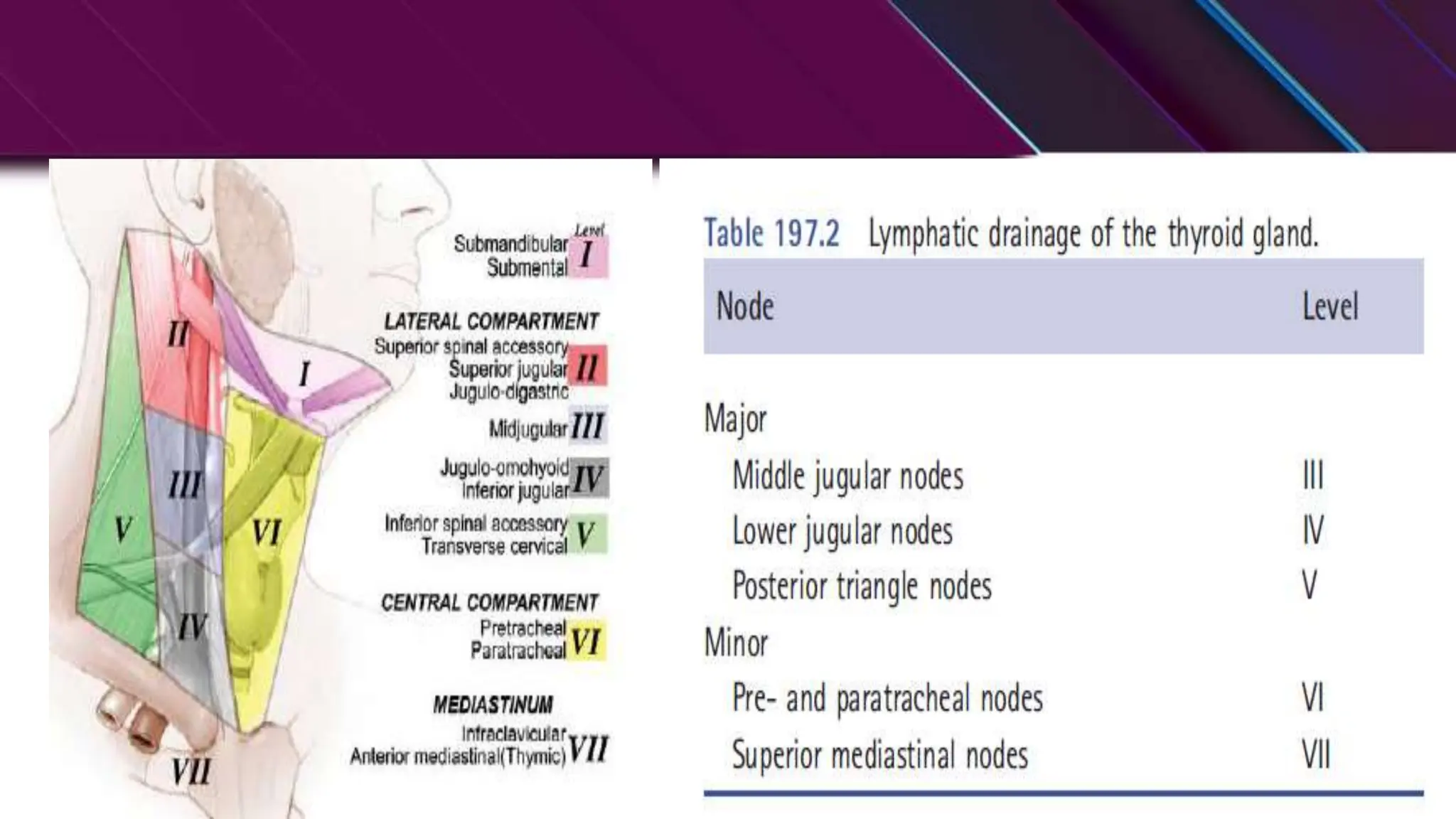 Anatomy and physiology of thyroid and parathyroid glands.pptx