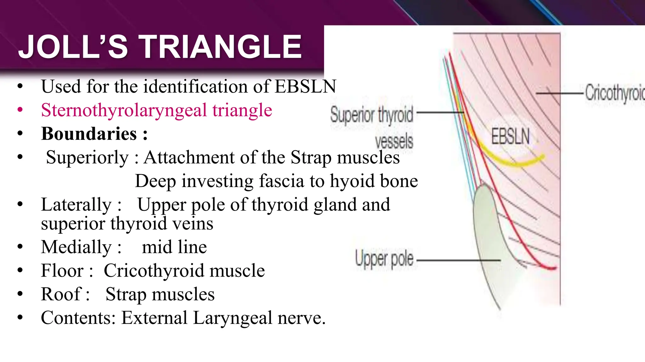 Anatomy and physiology of thyroid and parathyroid glands.pptx