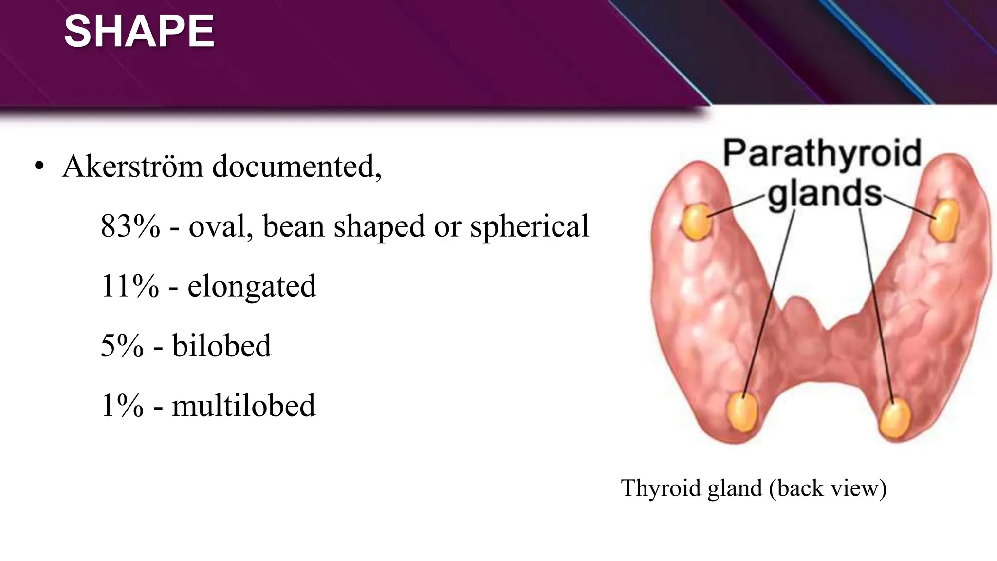 Anatomy and physiology of thyroid and parathyroid glands.pptx