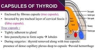 Anatomy and physiology of thyroid and parathyroid glands.pptx