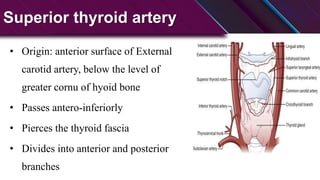 Anatomy and physiology of thyroid and parathyroid glands.pptx