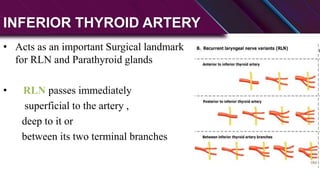 Anatomy and physiology of thyroid and parathyroid glands.pptx